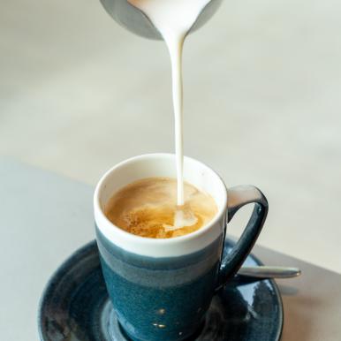 Café Portrait | Heritage Portfolio